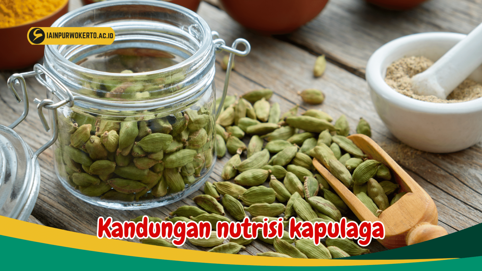 Inilah 4 Manfaat kapulaga, salah satunya untuk Mengurangi nyeri perut ...