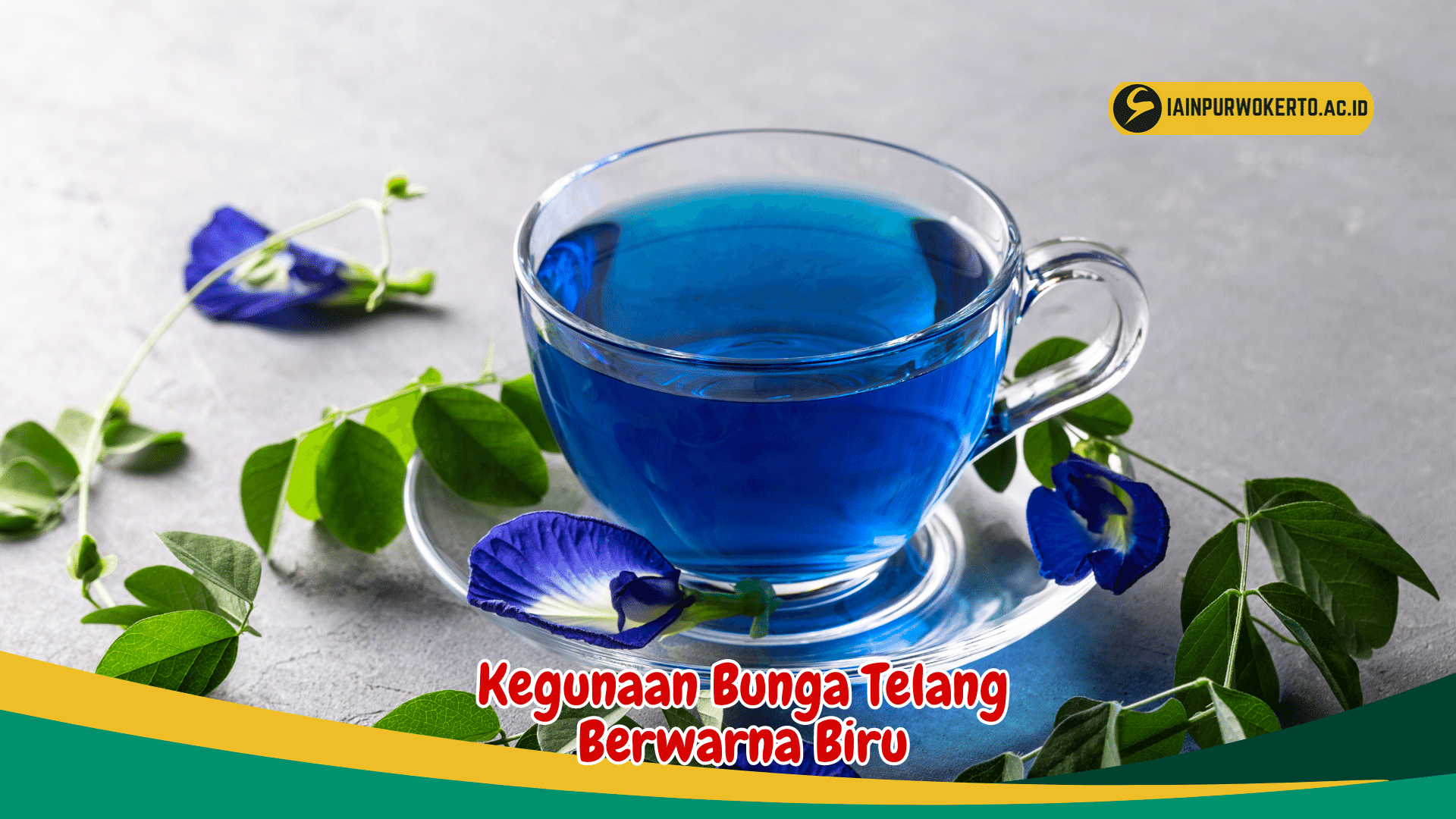 Temukan 5 Manfaat Luar Biasa dari Bunga Telang untuk Kesehatan Anda ...