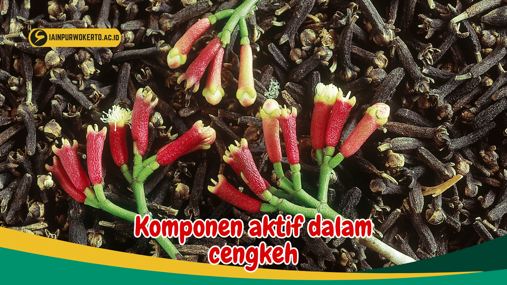 Manfaat cengkeh untuk kesehatan - Birds n Bees