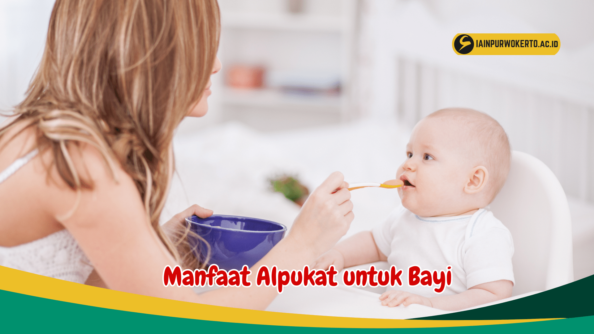 6 Manfaat Buah Alpukat Untuk Ibu Hamil Dan Promil Birds N Bees