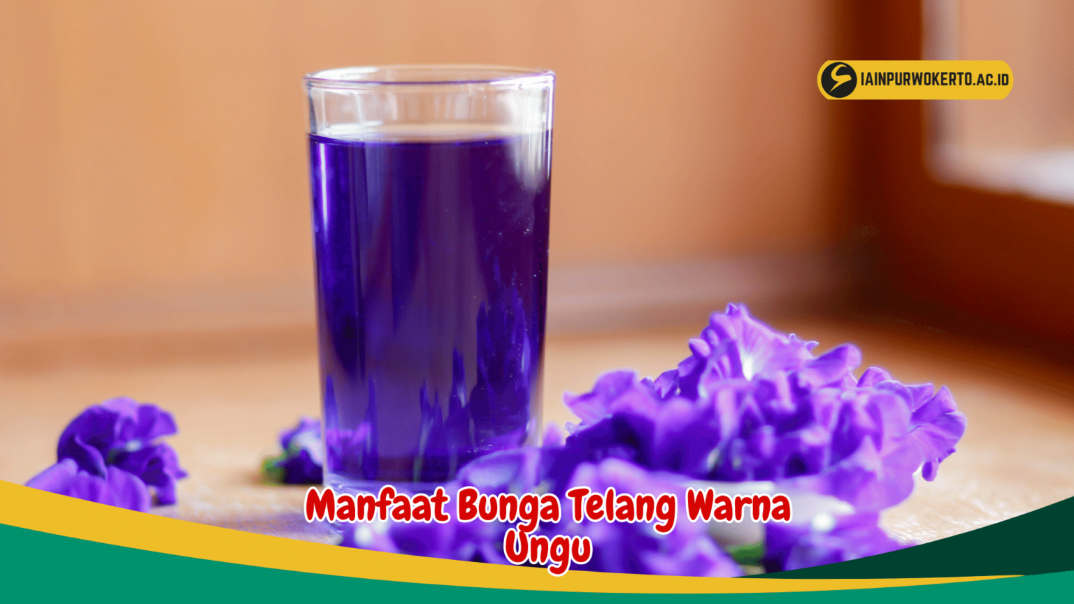 Temukan 5 Manfaat Luar Biasa dari Bunga Telang untuk Kesehatan Anda ...