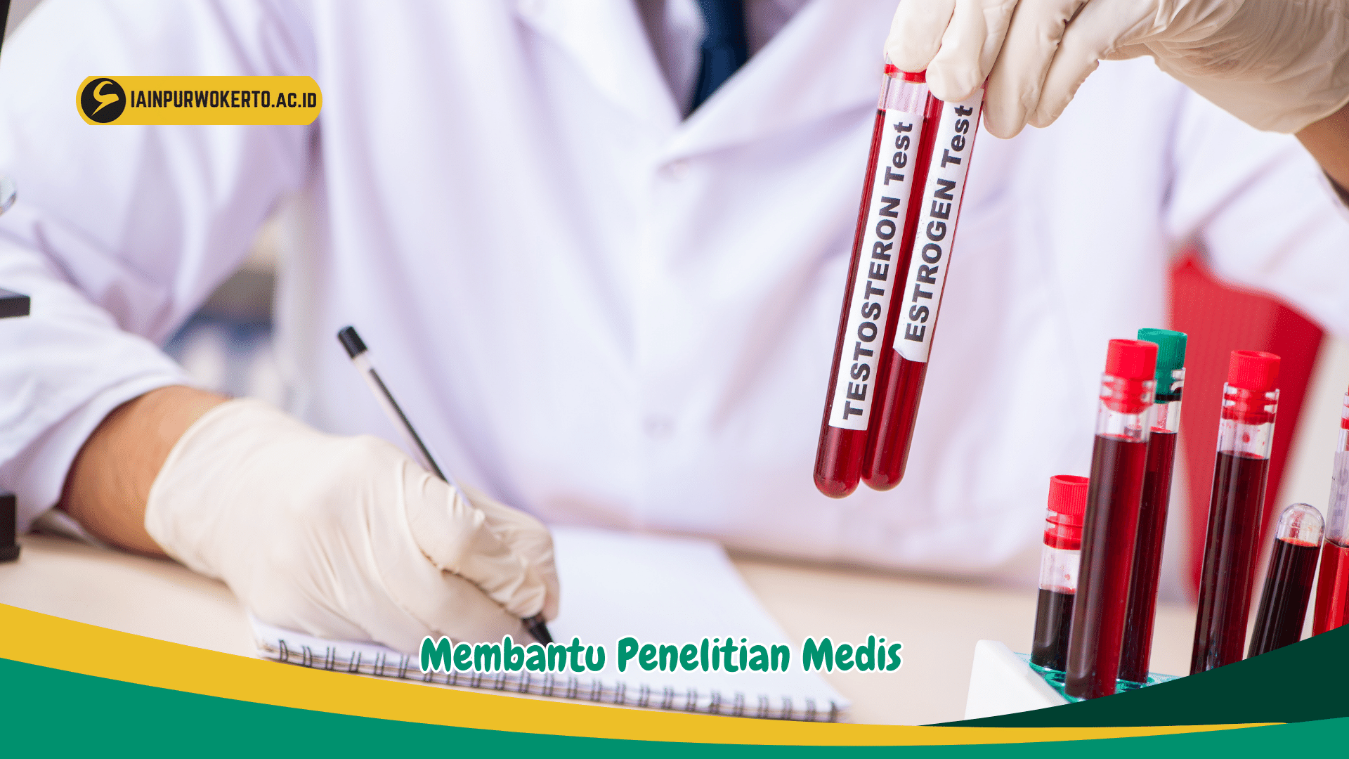 Manfaat donor darah untuk kesehatan - Birds n Bees