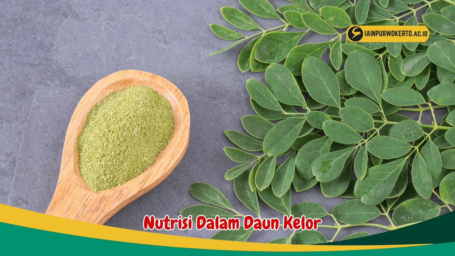 10 Manfaat Daun Kelor untuk Diet Seimbang - Birds n Bees