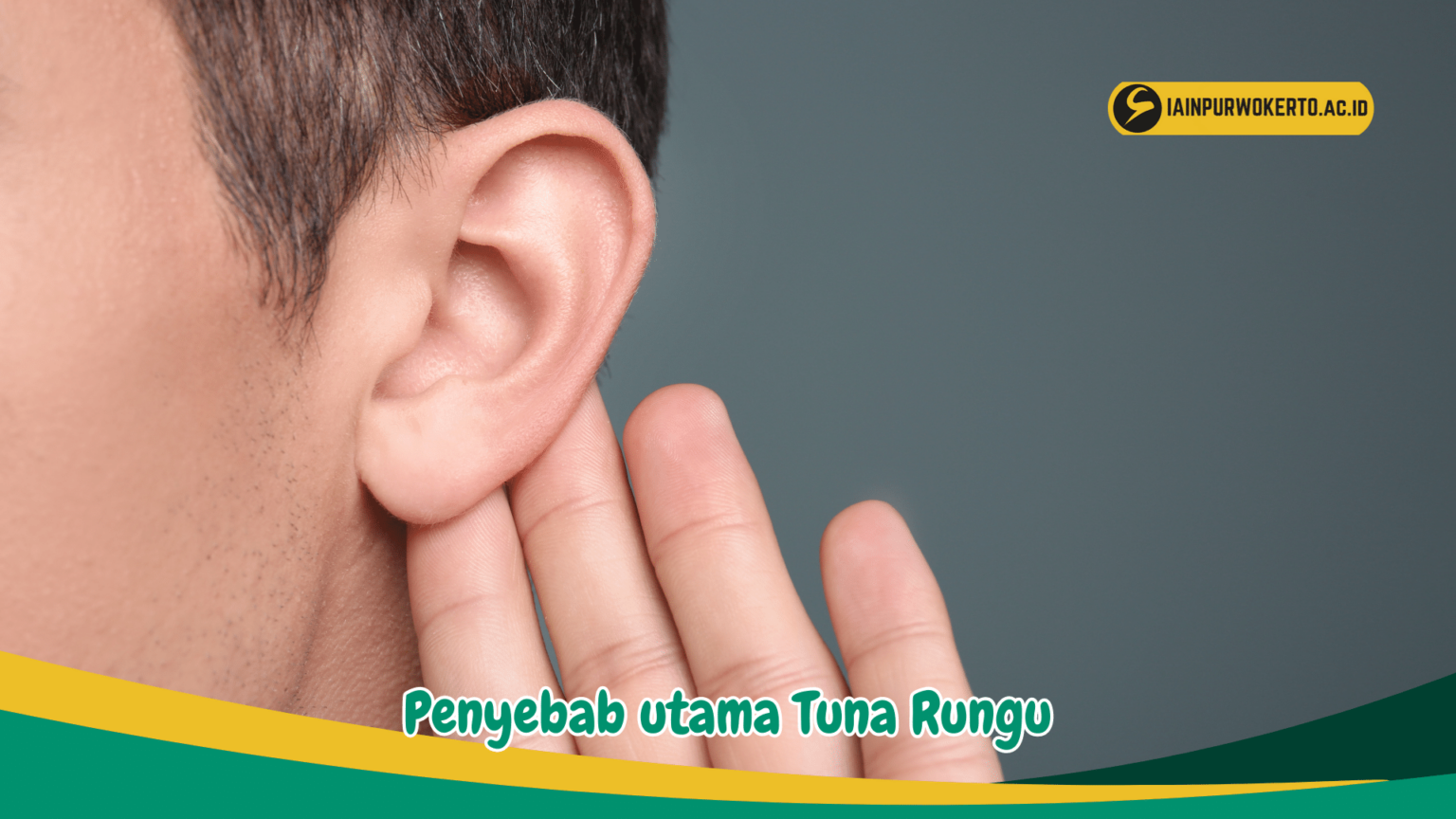 Gejala Tuna Rungu yang kerap berkaitan dengan Tuna Wicara - Birds n Bees