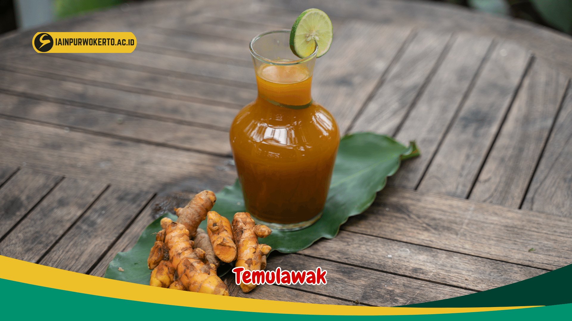 Mengenal Manfaat 8 Jenis Tanaman Obat Keluarga - Birds n Bees