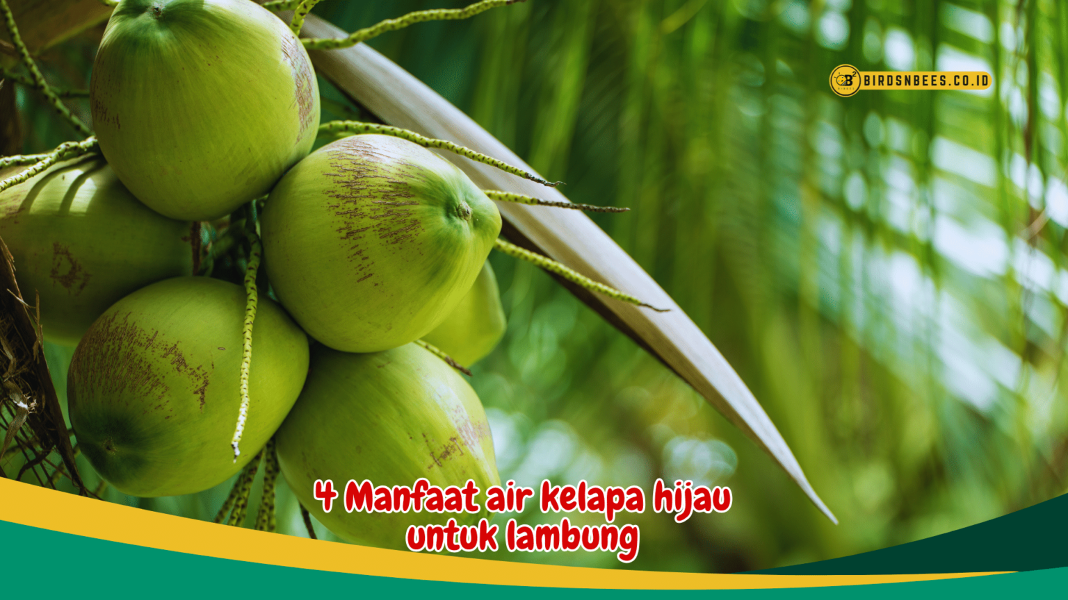 Ketahui 4 Manfaat Luar Biasa Air Kelapa Hijau untuk Menyamarkan garis halus dan keriput di wajah ...