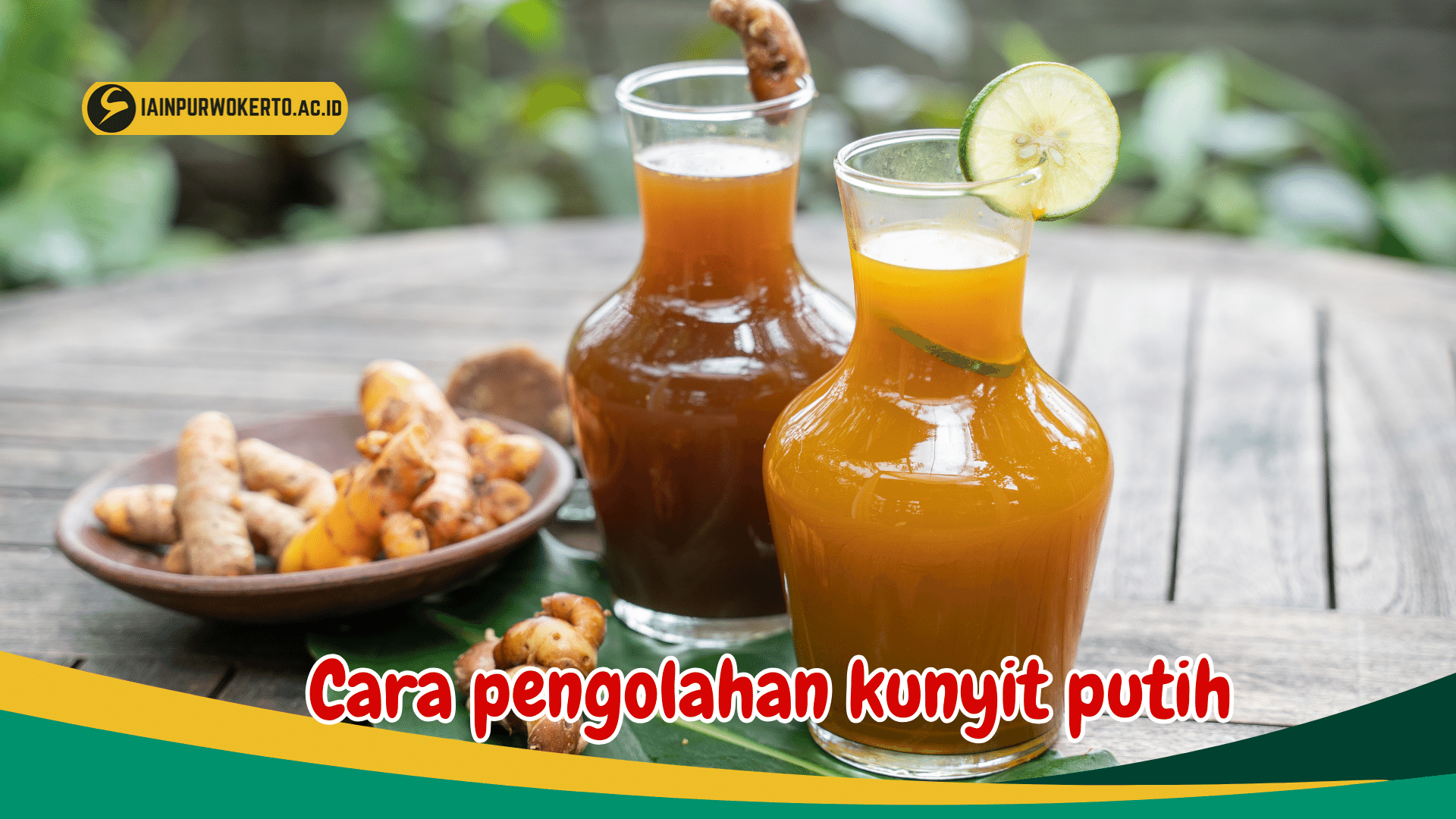 Manfaat Kunyit Putih Untuk Pencernaan Tubuh Kita Birds N Bees