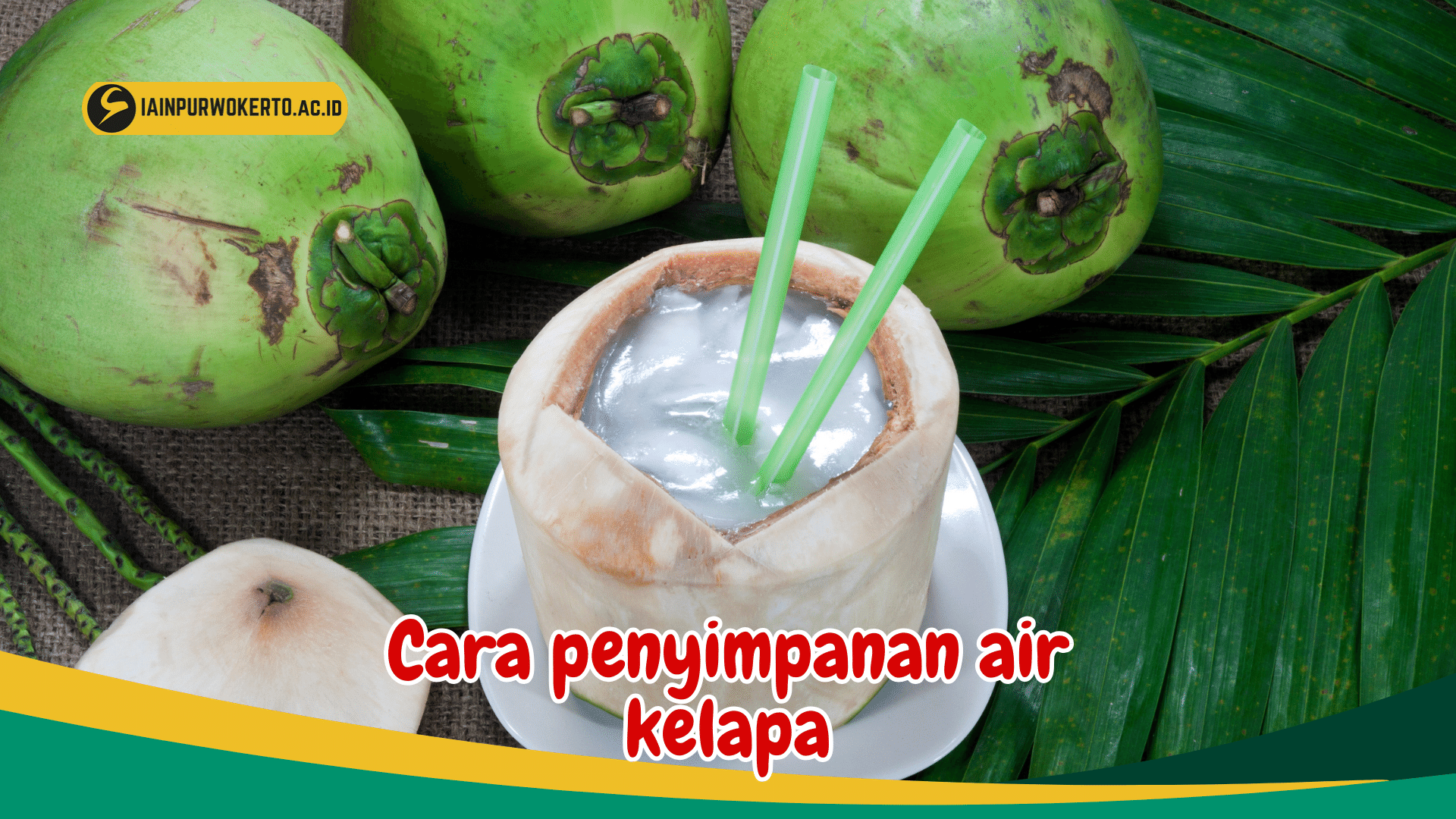 4 Manfaat air kelapa muda bagi Kesehatan, Ampuh Memperkuat sistem kekebalan tubuh! - Birds n Bees