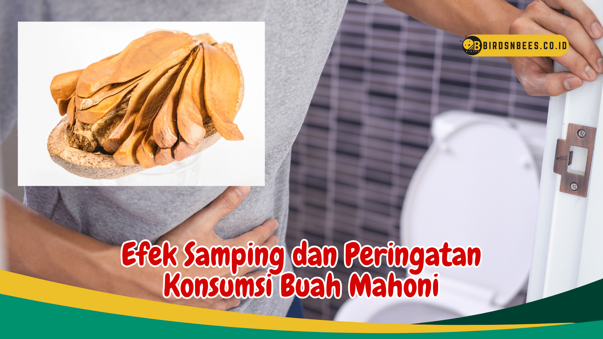 6 Manfaat Buah Mahoni untuk kesehatan, yang paling penting ampuh cegah ...