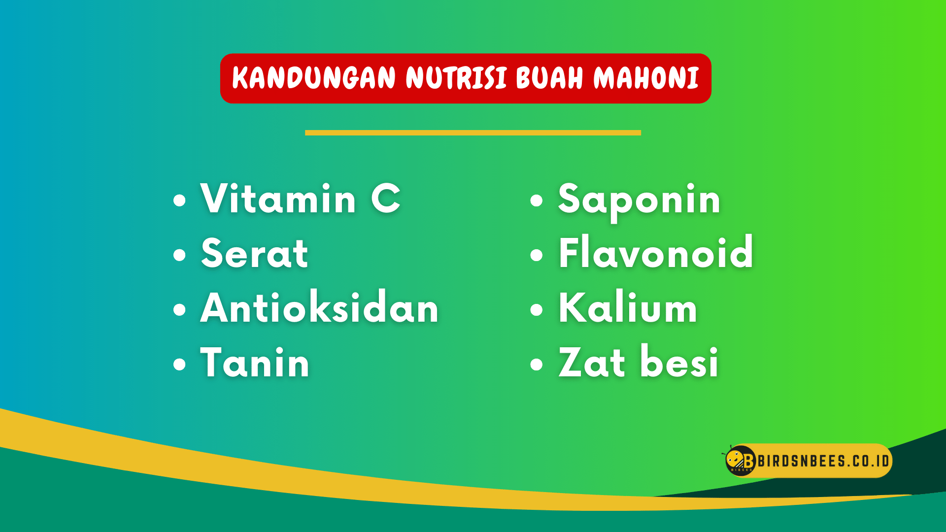 6 Manfaat Buah Mahoni untuk kesehatan, yang paling penting ampuh cegah ...