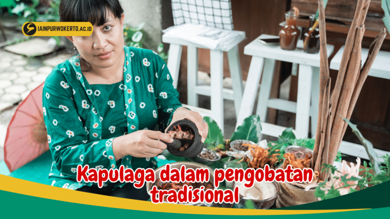 Manfaat kapulaga untuk kesehatan secara tradisional - Birds n Bees