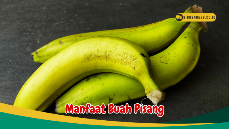 Ketahui 6 Manfaat Buah Pisang untuk Kesehatan, bantu memperlancar ...