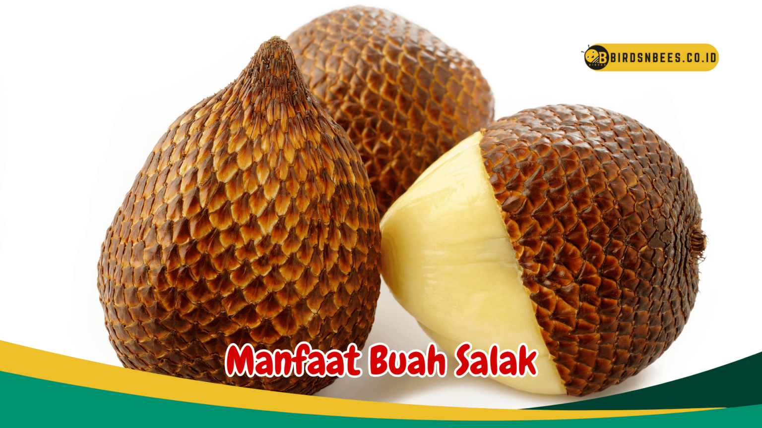 Enggak cuma imunitas tubuh, ini dia Sederet Manfaat Buah Salak untuk Kesehatan - Birds n Bees