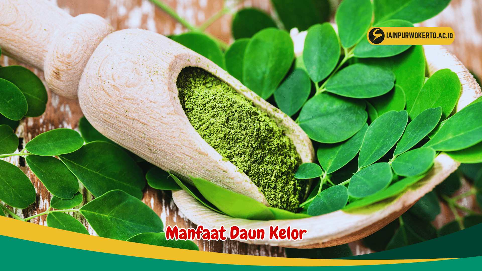 Manfaat Daun Kelor untuk Kesehatan Pria dan Wanita yang Perlu Anda ...