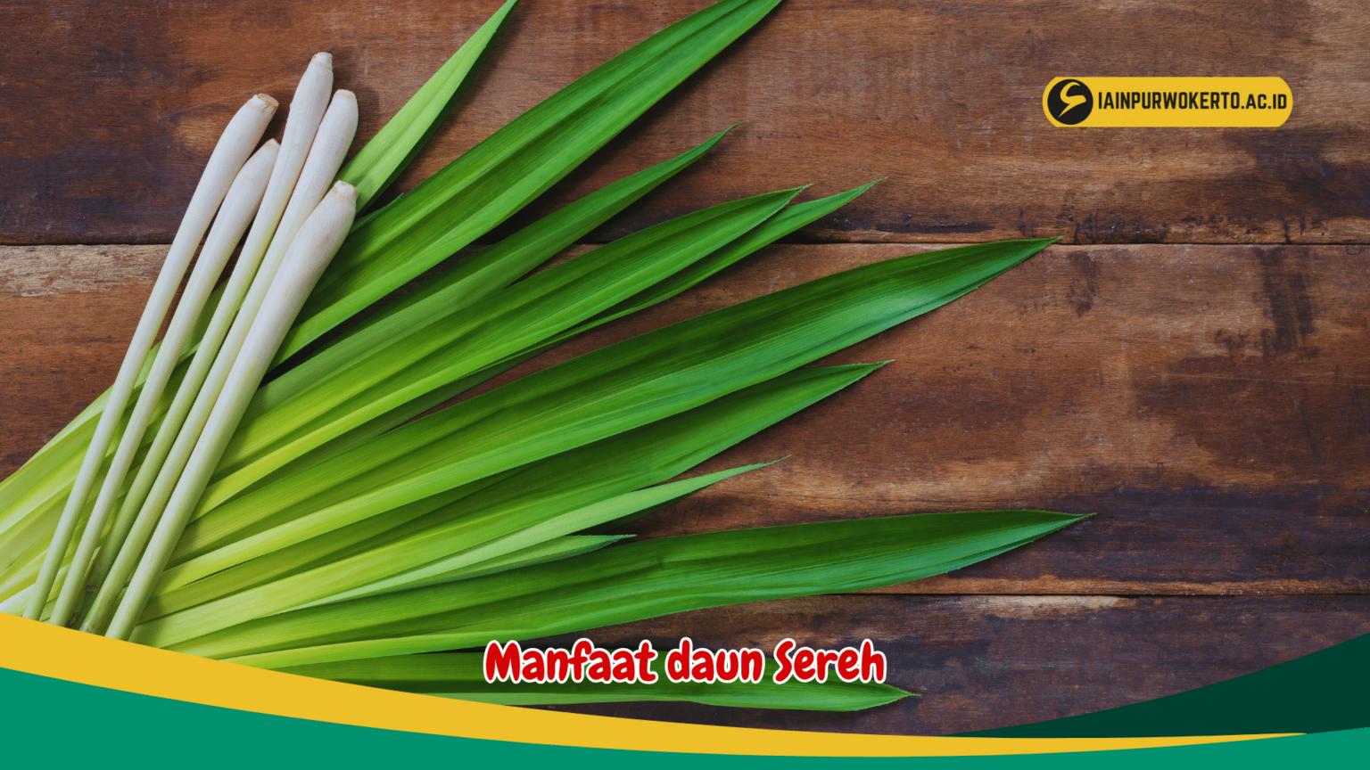 Ketahui Manfaat daun salam dan sereh untuk kesehatan - Birds n Bees