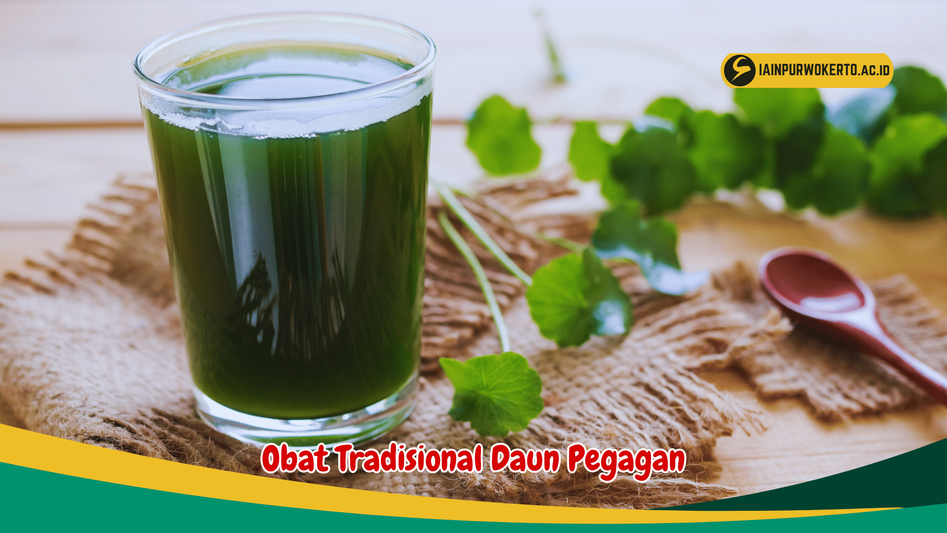 Manfaat Daun Pegagan untuk Meningkatkan Fungsi Otak dan Mengatasi ...