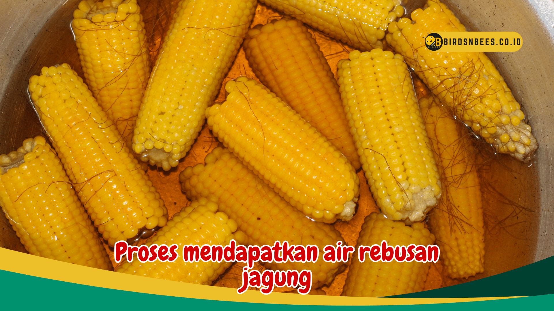Atur tekanan darah, Ketahui 4 Manfaat air rebusan jagung untuk ...