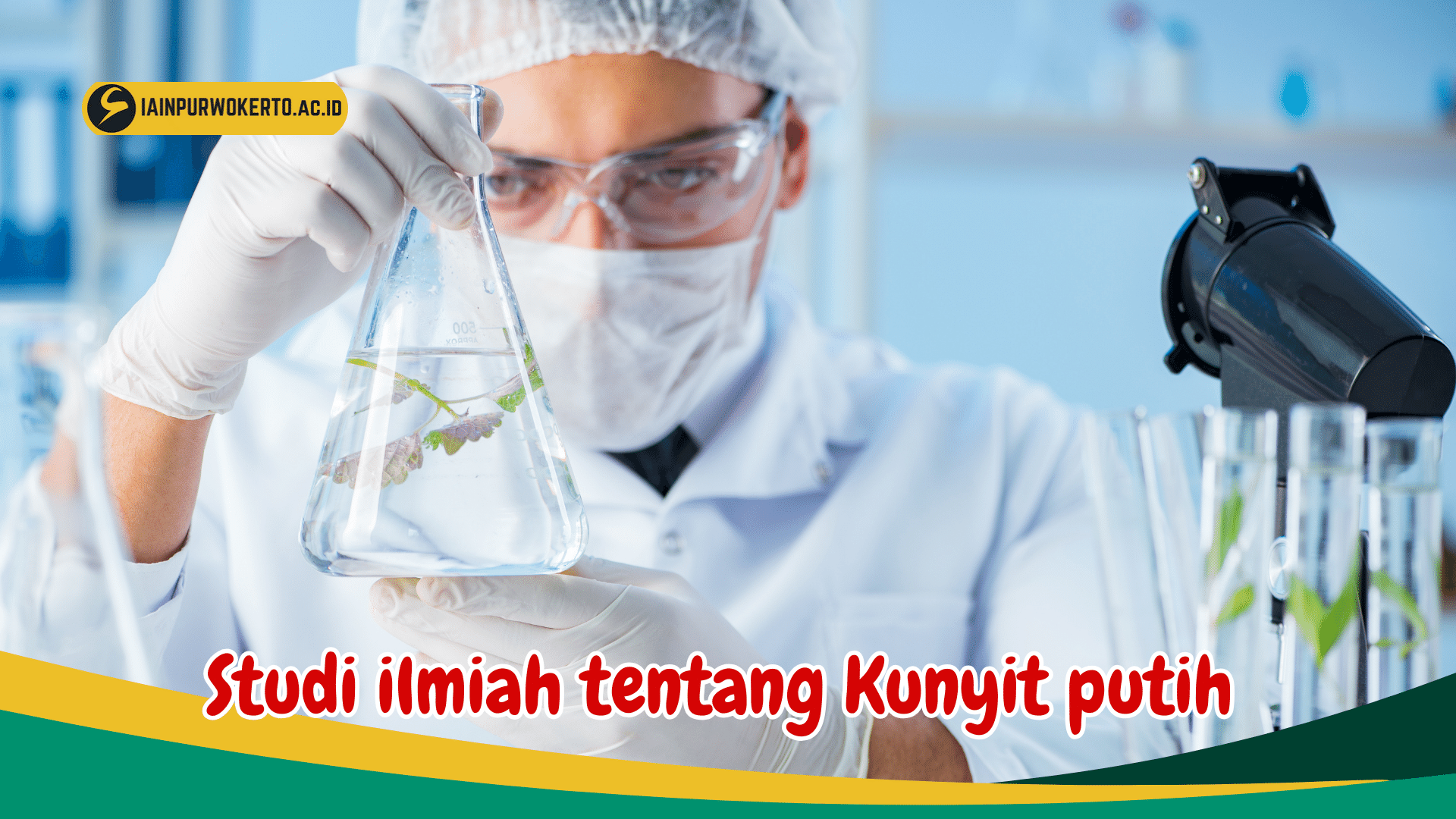30 Manfaat Kunyit Putih untuk kesehatan tubuh - Birds n Bees