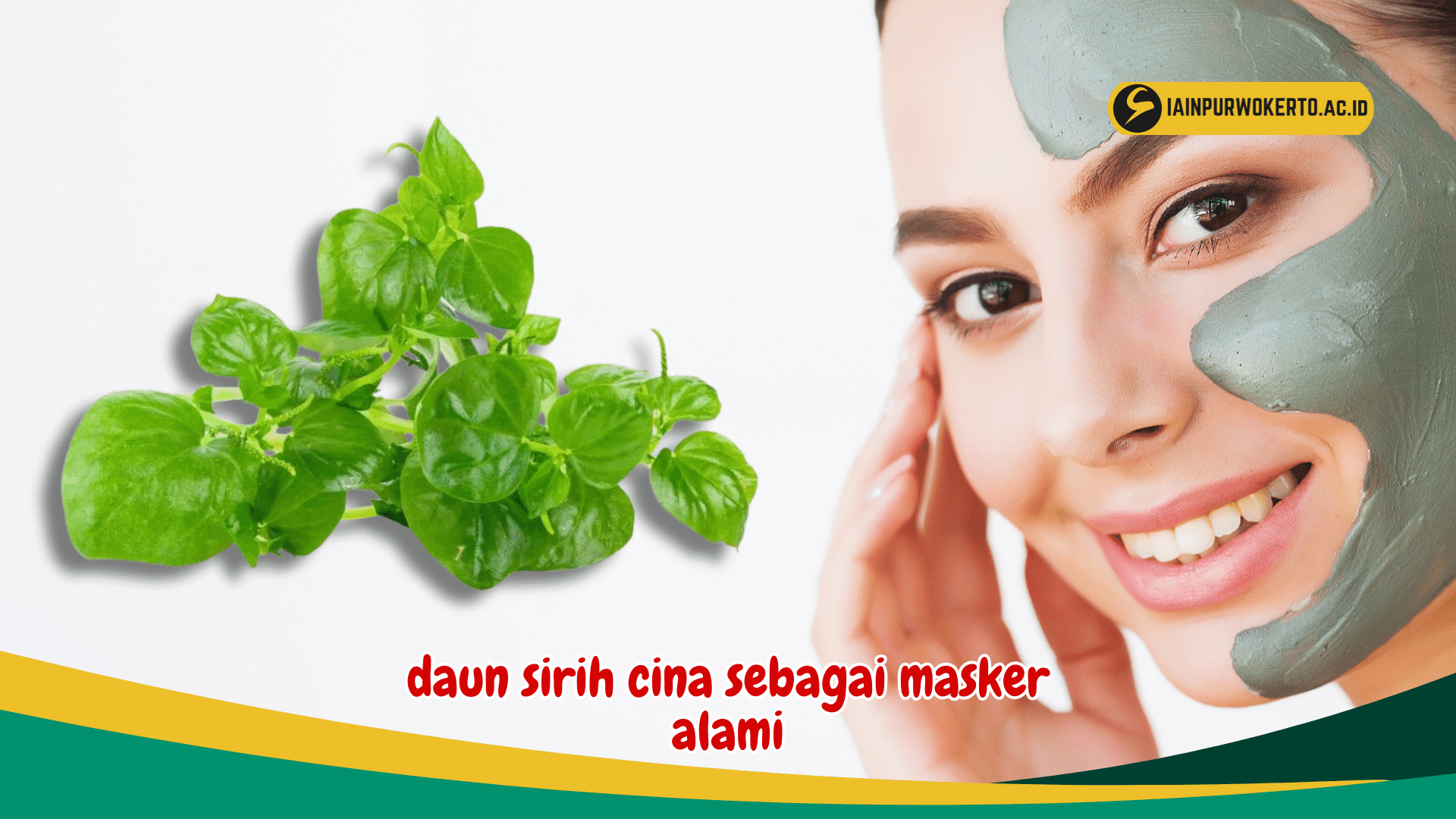 Ketahui 5 Manfaat daun Sirih Cina untuk Wajah agar Glowing secara Alami - Birds n Bees