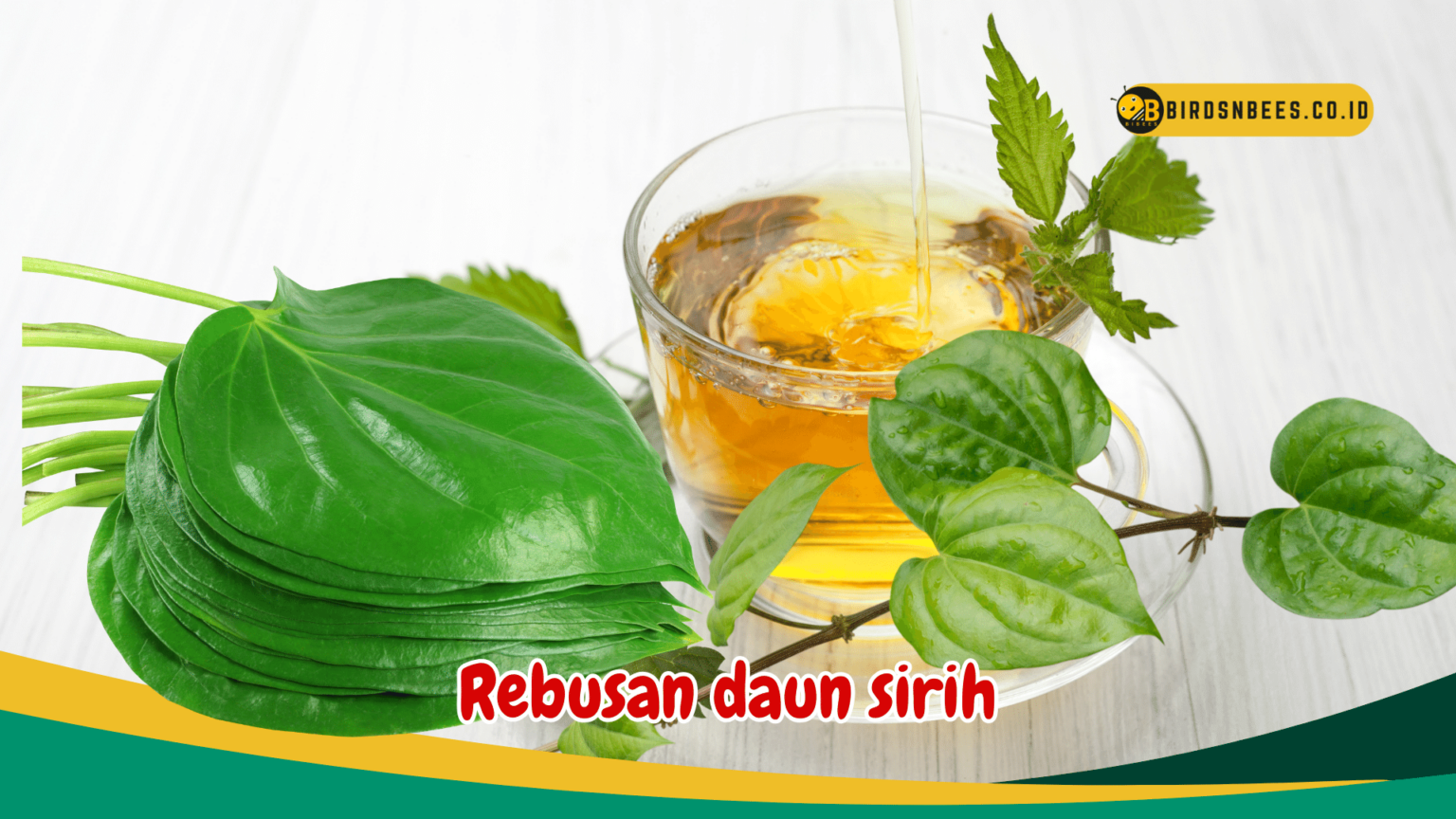 Ketahui 4 Manfaat air rebusan daun sirih untuk tubuh, buat Antiseptik ...