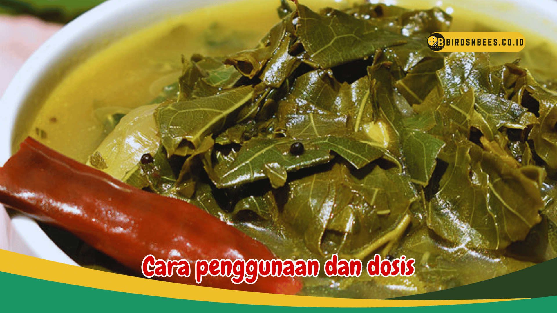 Manfaat daun miana untuk antiseptik - Birds n Bees