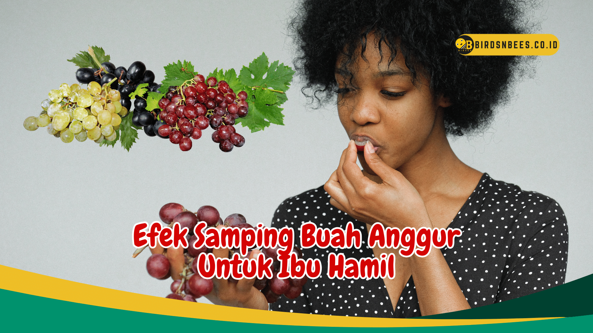 Manfaat Buah Anggur Untuk kesehatan Ibu Hamil - Birds n Bees