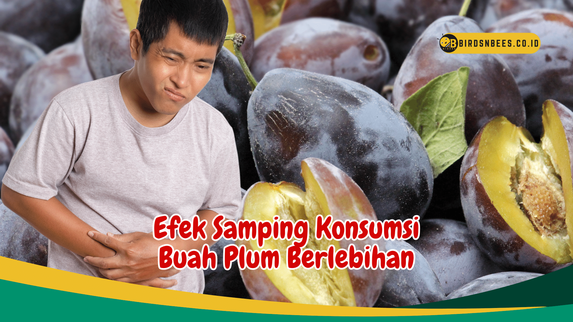 Kaya akan Antioksidan, Ketahui Manfaat Buah Plum untuk kesehatan - Birds n Bees