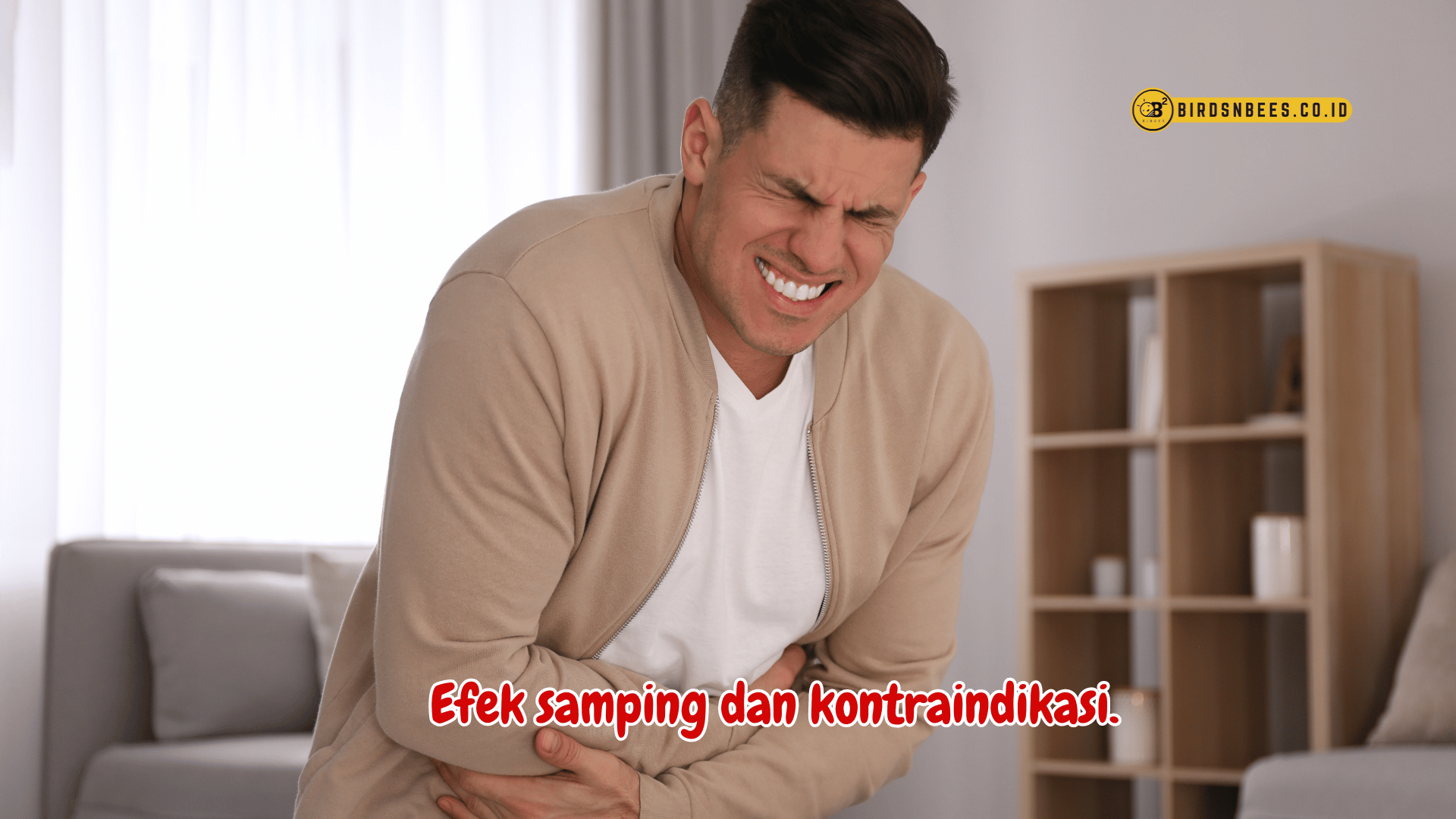 Manfaat daun suruhan sebagai pencegahan infeksi - Birds n Bees