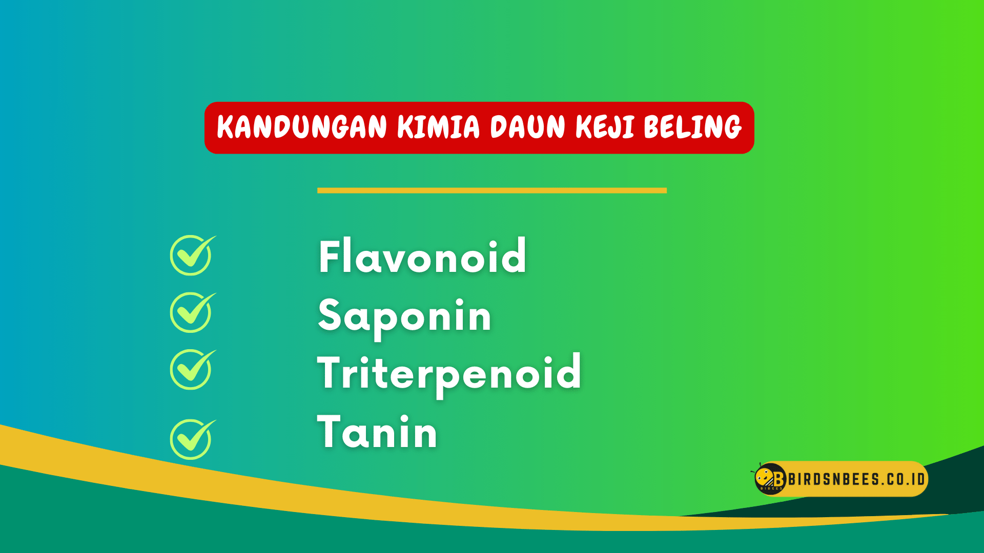 4 Manfaat daun keji beling bagi tubuh kita, salah satunya mengobati batu ginjal - Birds n Bees