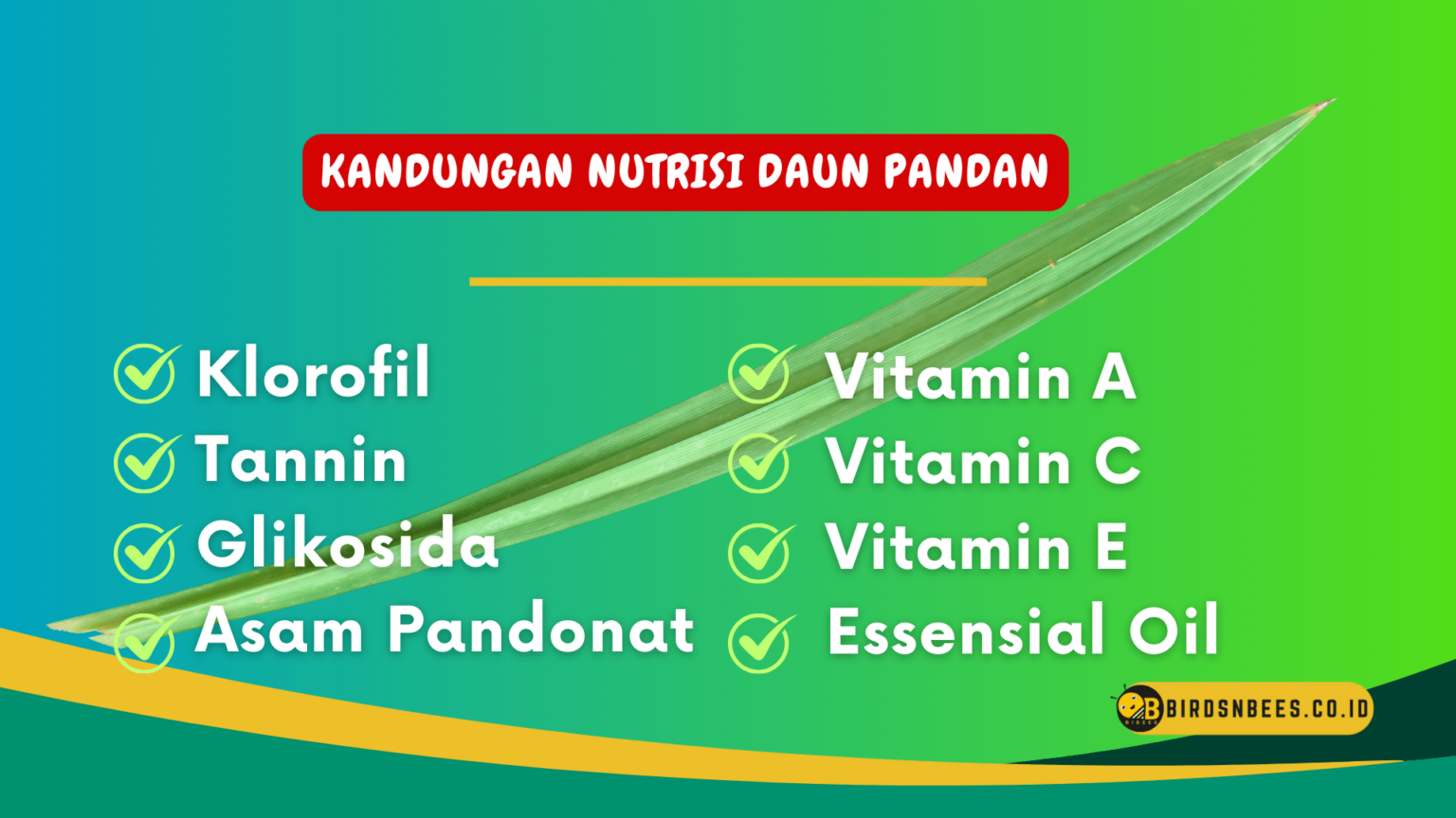 Ketahui 6 Manfaat daun pandan untuk kesehatan, bisa meningkatan ...