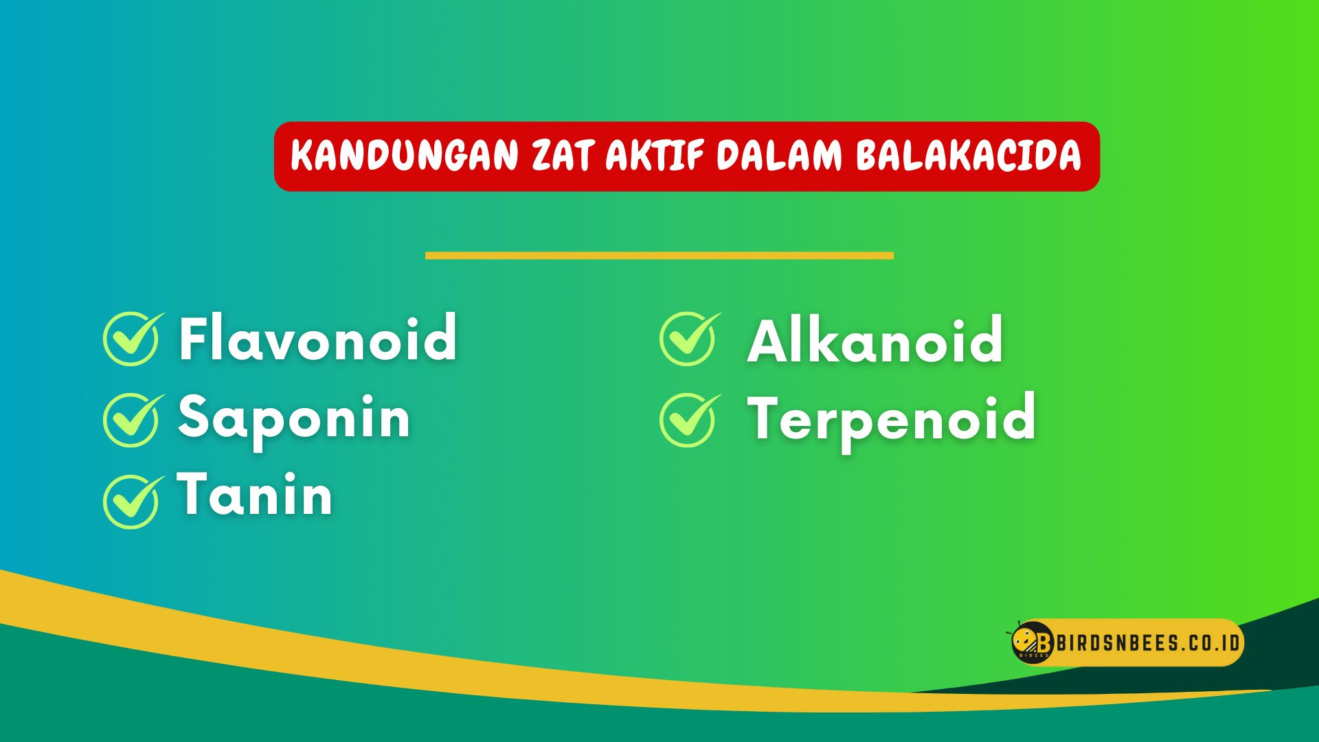 Ketahui Manfaat daun balakacida untuk meningkatkan sistem imun - Birds ...