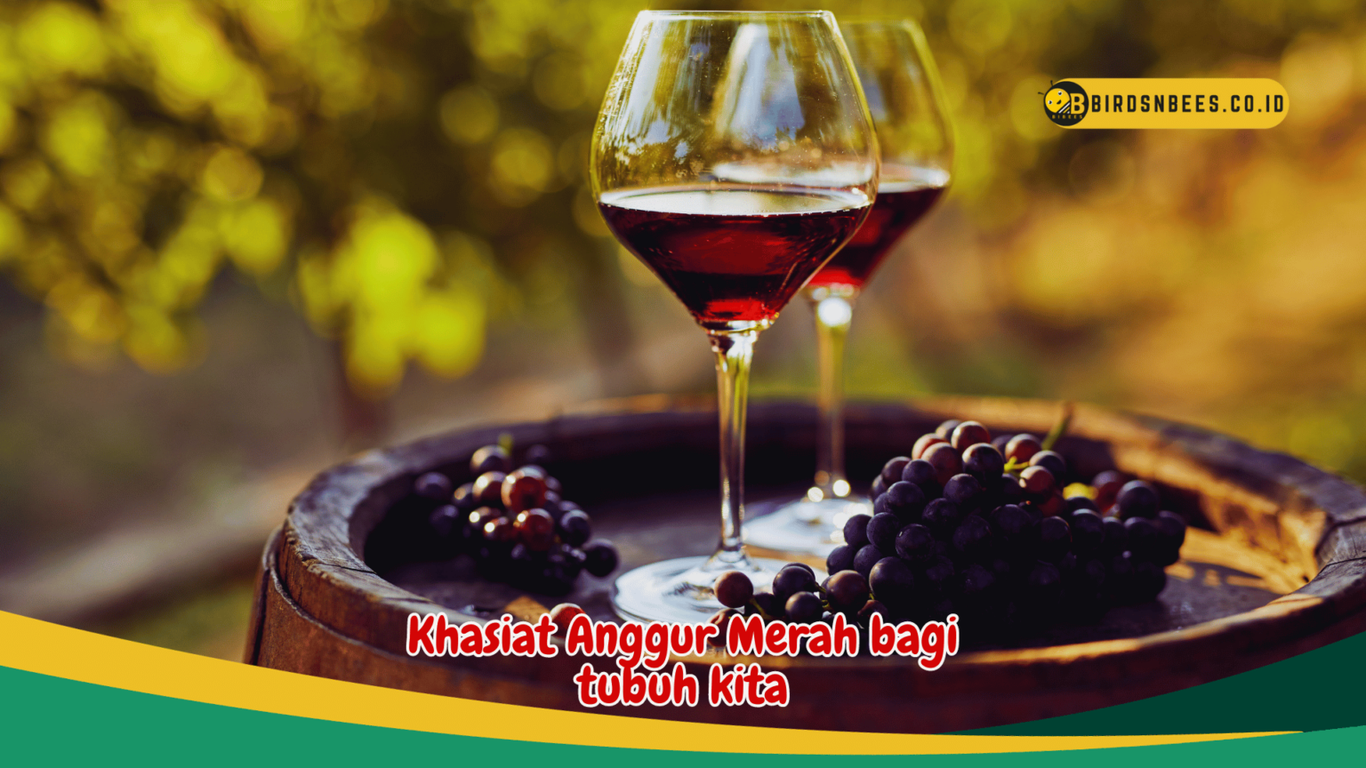 Khasiat Anggur Merah yang Baru Ditemukan Ilmuwan, Mengapa Anda Perlu Mengetahuinya? - Birds n Bees