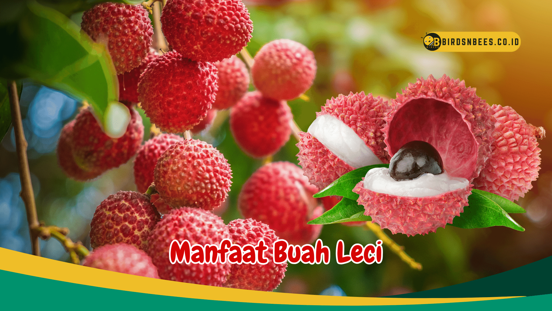 Manfaat Buah Leci Untuk Kesehatan Birds N Bees