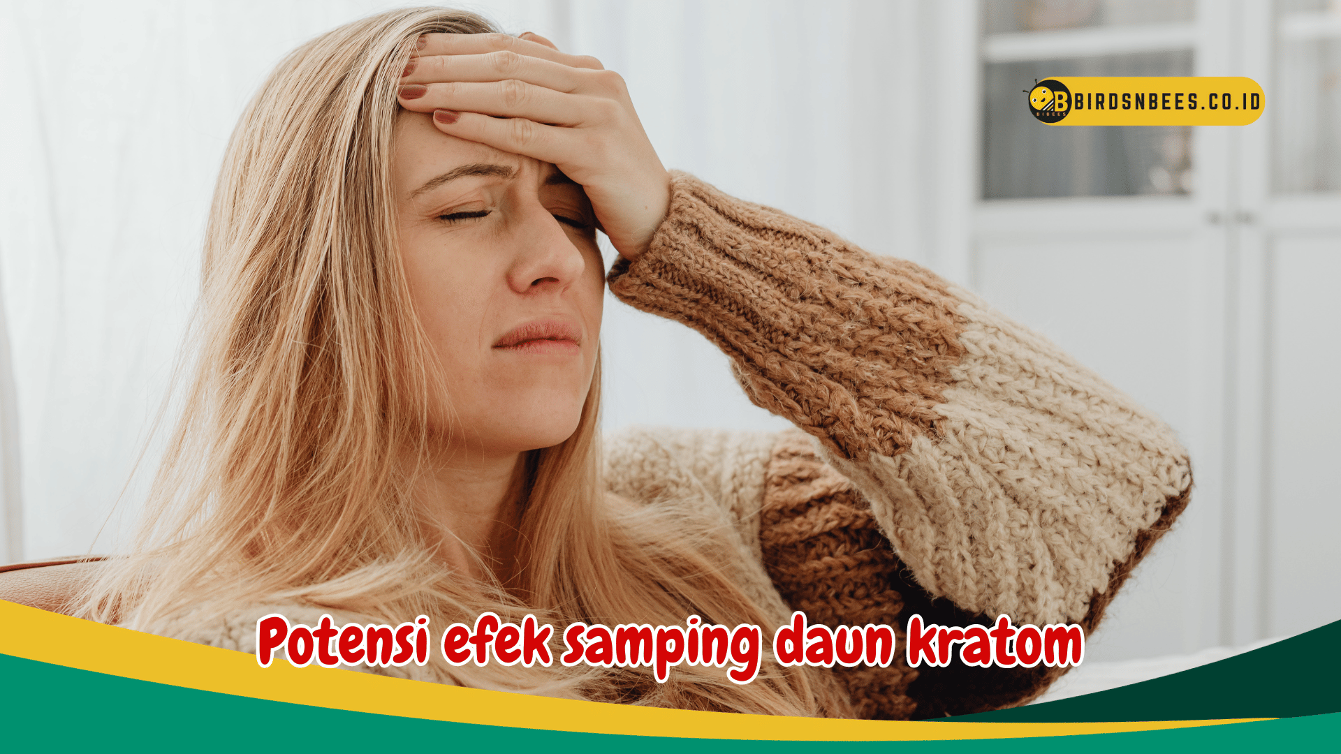 Manfaat daun kratom untuk peningkatan energi - Birds n Bees