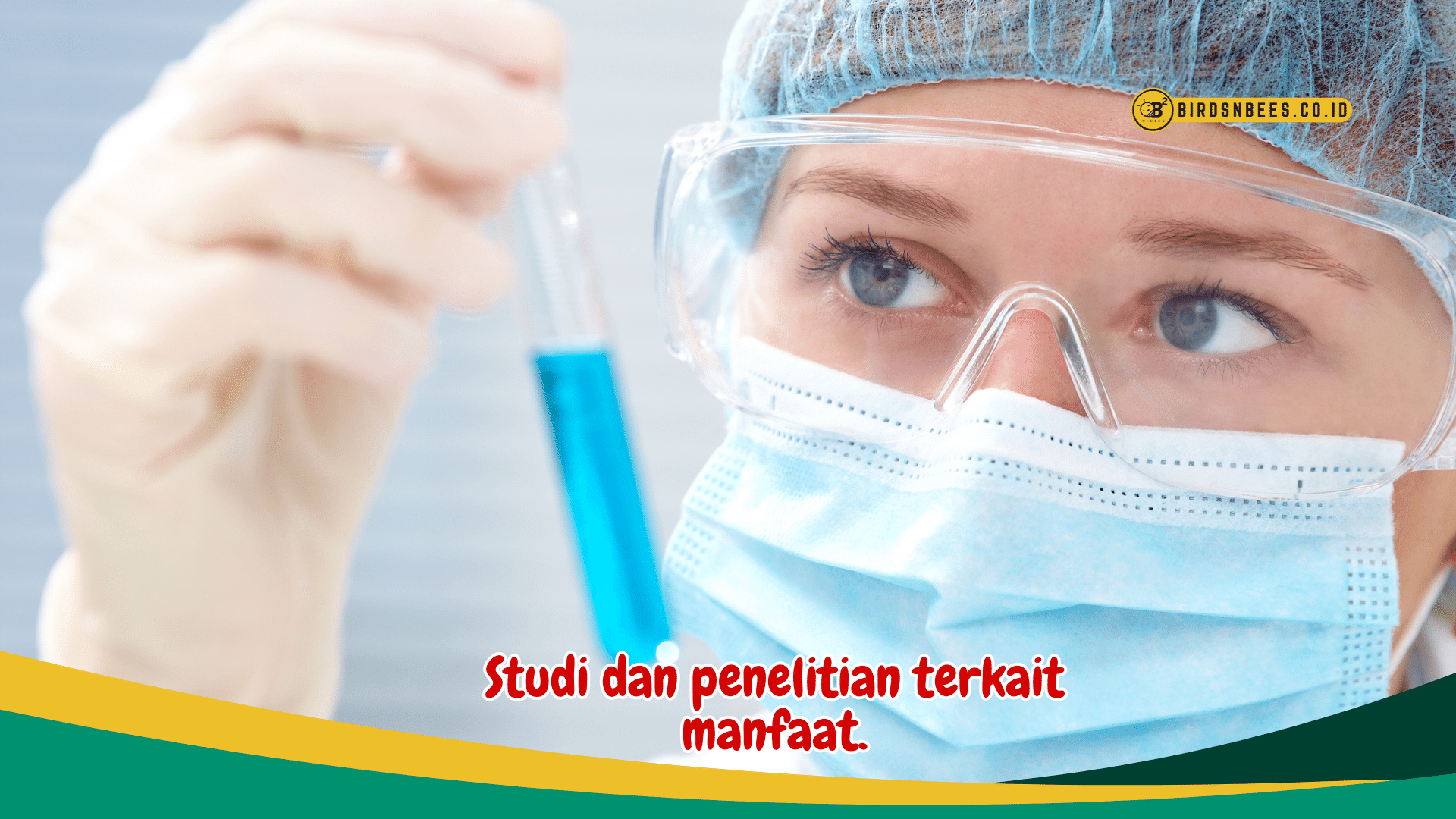 Manfaat daun antanan mendukung fungsi otak - Birds n Bees