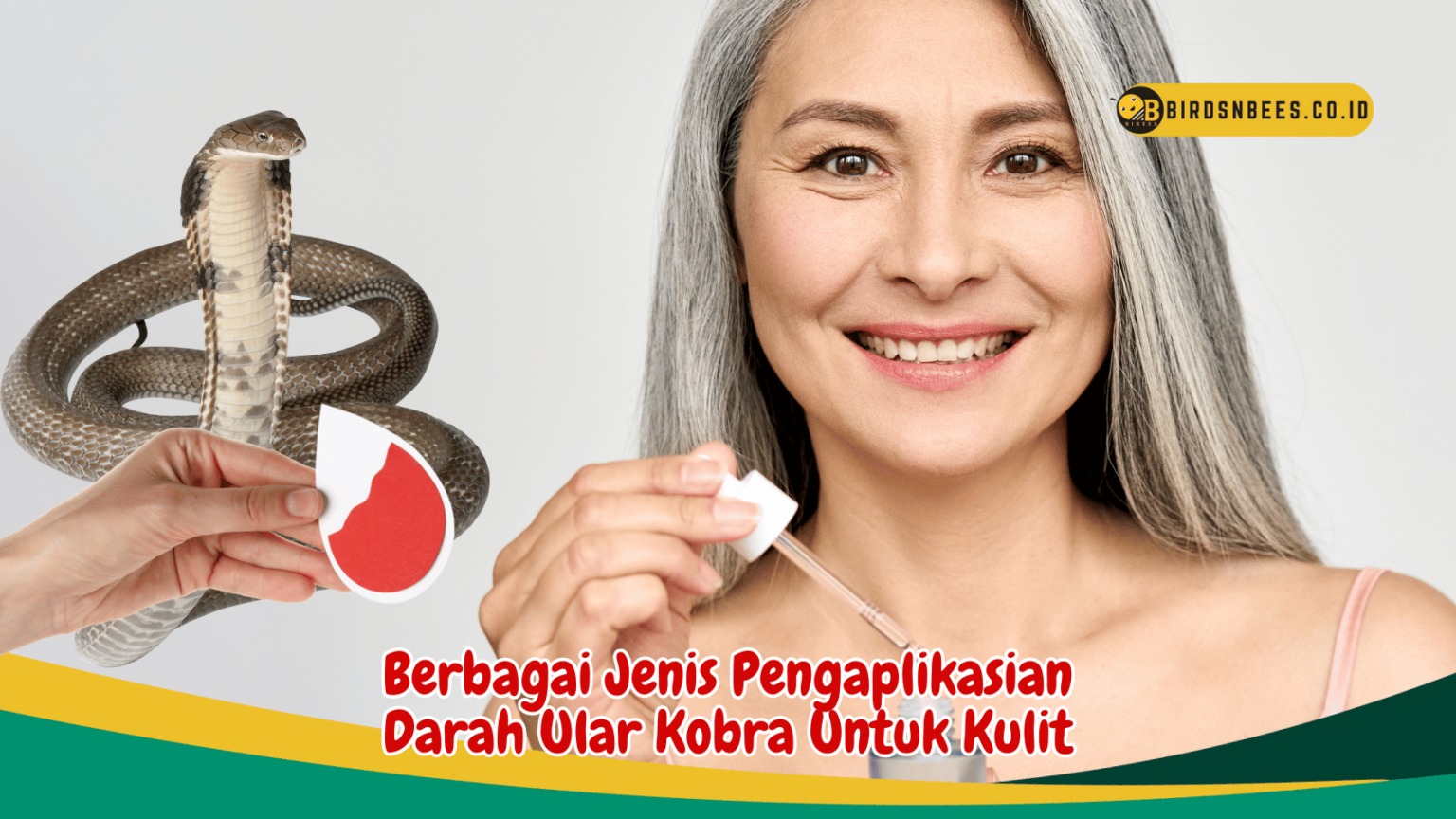 Ketahui Manfaat Luar Biasa Darah Ular Kobra untuk Kesehatan Kulit Anda - Birds n Bees