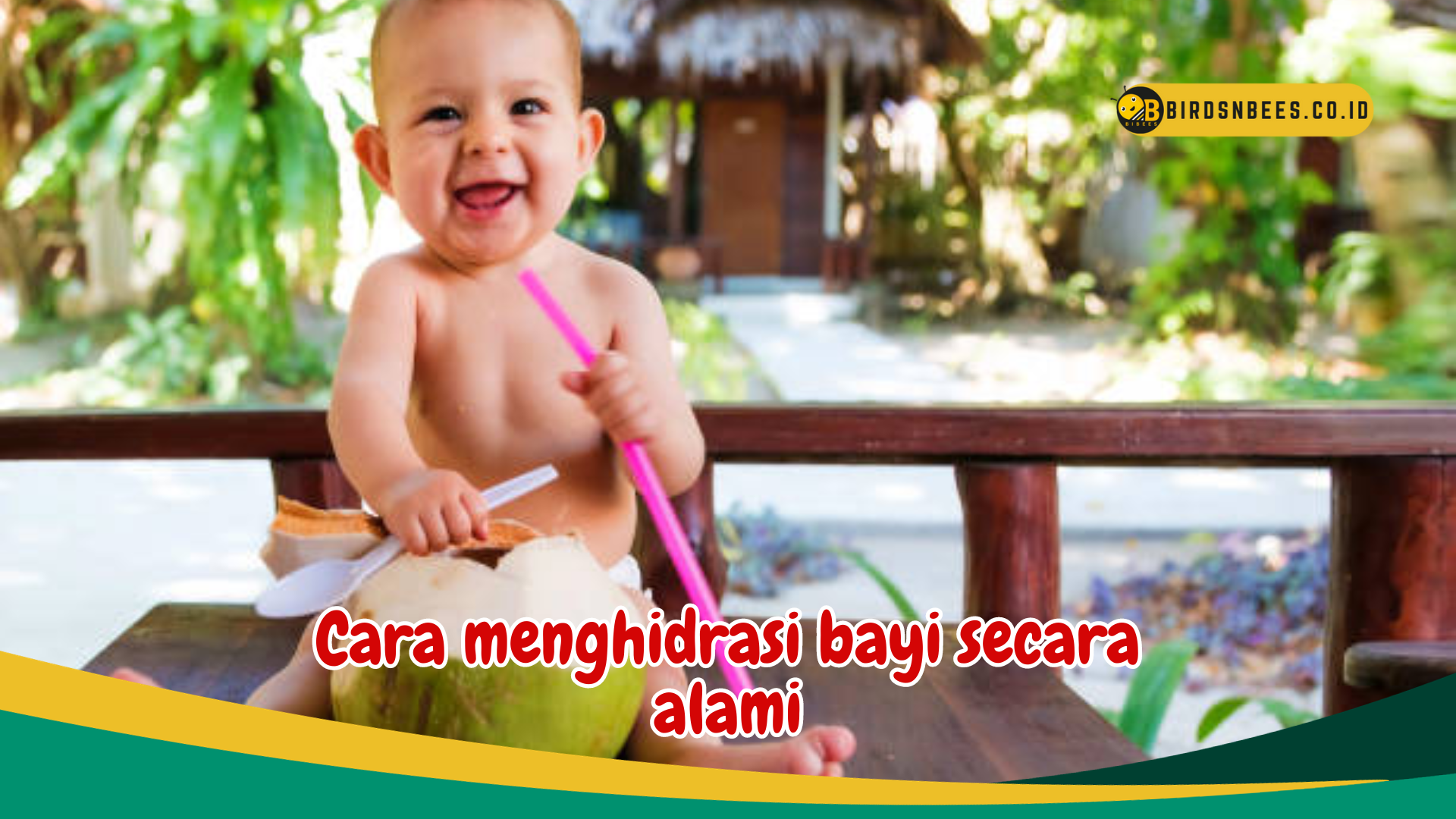 Mendukung Pencernaan Bayi Yang Sehat, Ketahui Manfaat Air Kelapa hijau ...