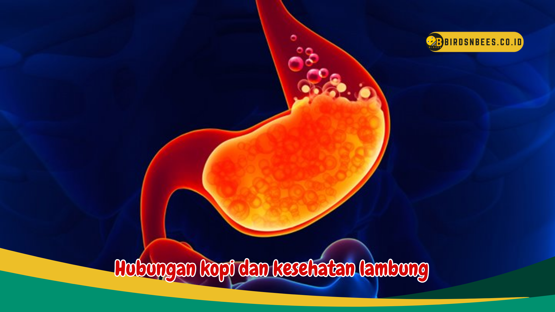 Menstabilkan Asam Lambung, Ketahui Manfaat Kopi bagi Asam Lambung ...