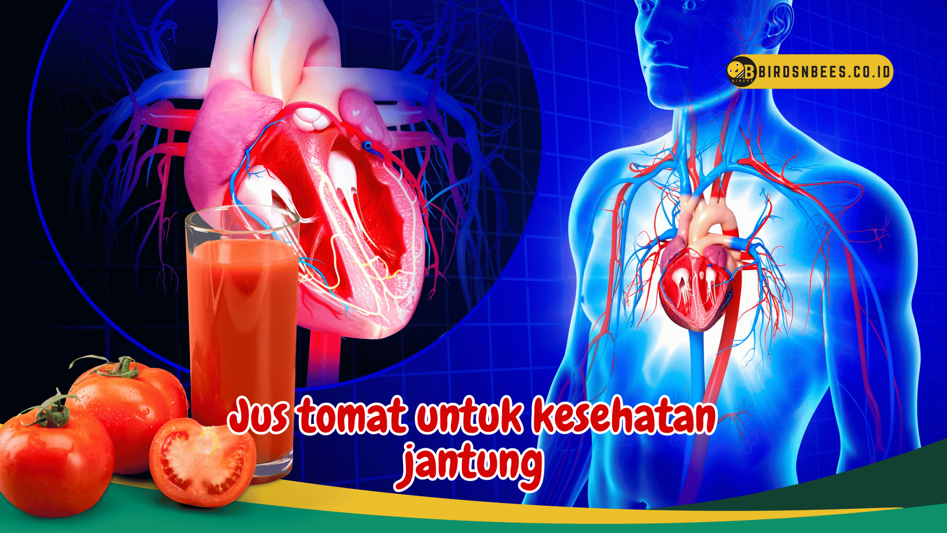 Jarang diketahui, 4 Manfaat Minum Jus Tomat Sebelum Tidur - Birds n Bees
