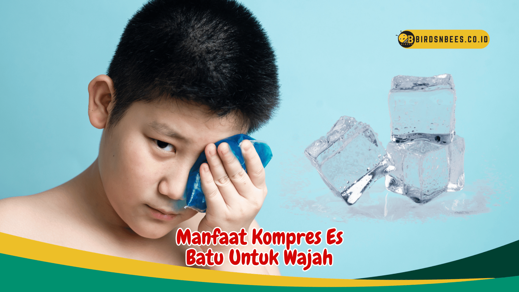 Wajah Glowing dengan Manfaat Tersembunyi Kompres Es Batu - Birds n Bees