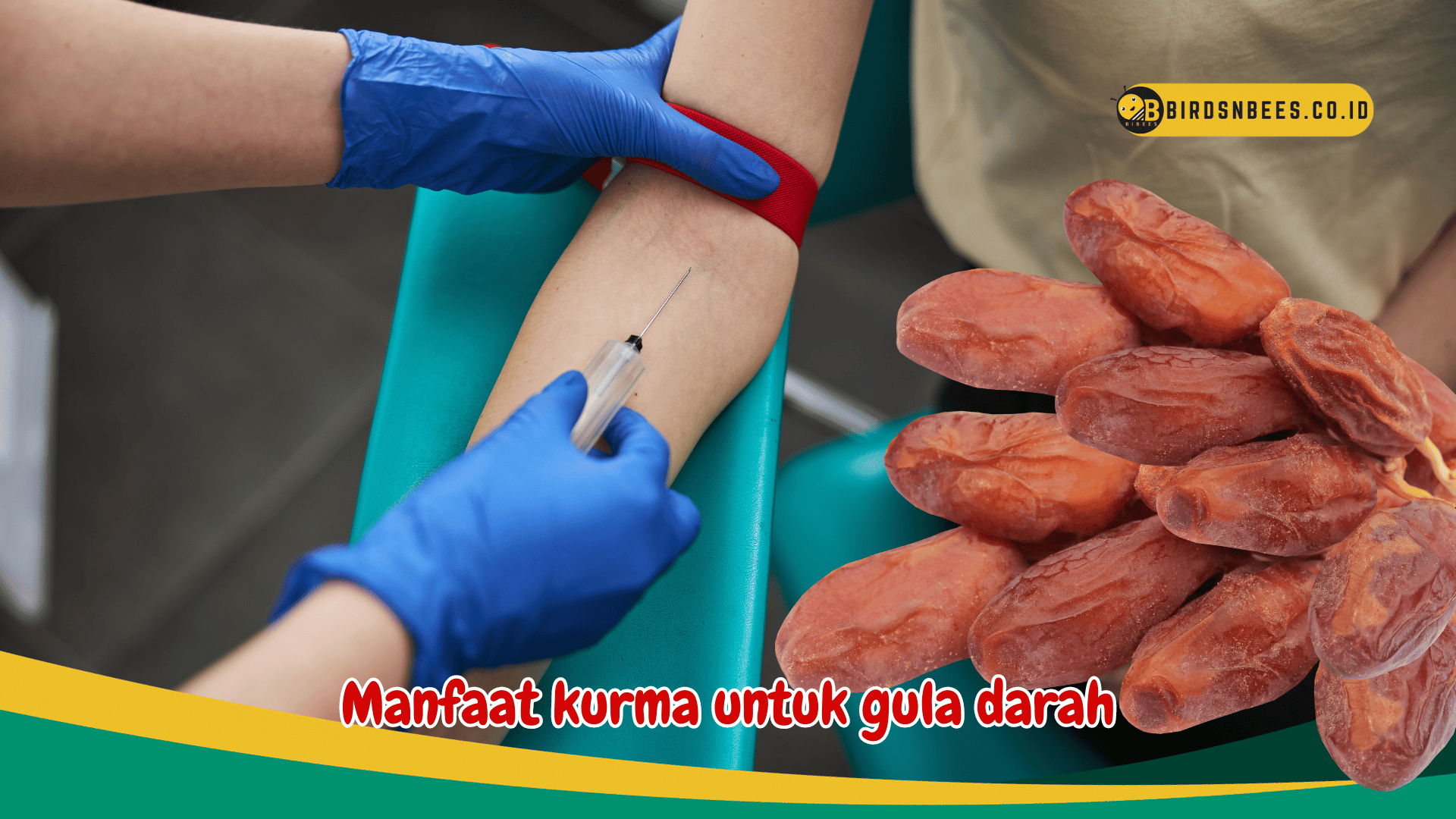 Manfaat makan kurma sebelum tidur untuk stabilisasi kadar gula darah - Birds n Bees