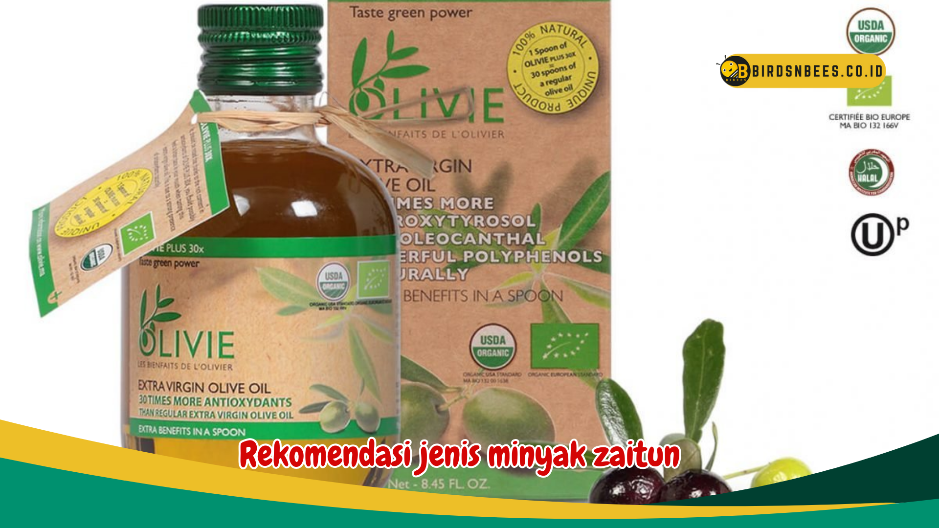 Mengurangi Kerontokan Rambut, Ketahui Manfaat Minyak Zaitun untuk ...