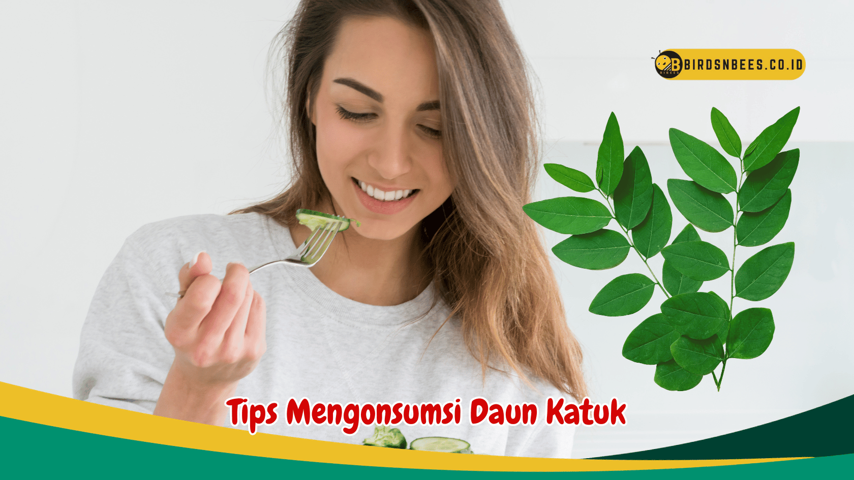 Memperkuat jaringan mata, Ungkap Rahasia Daun Katuk untuk Kesehatan ...