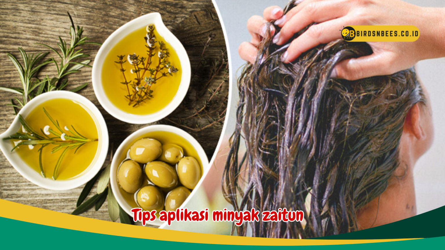 Mengurangi Kerontokan Rambut, Ketahui Manfaat Minyak Zaitun untuk ...