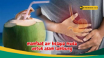 Menetralisir Kelebihan Asam, Ketahui Manfaat Air Kelapa Muda bagi Penderita Asam Lambung - Birds ...