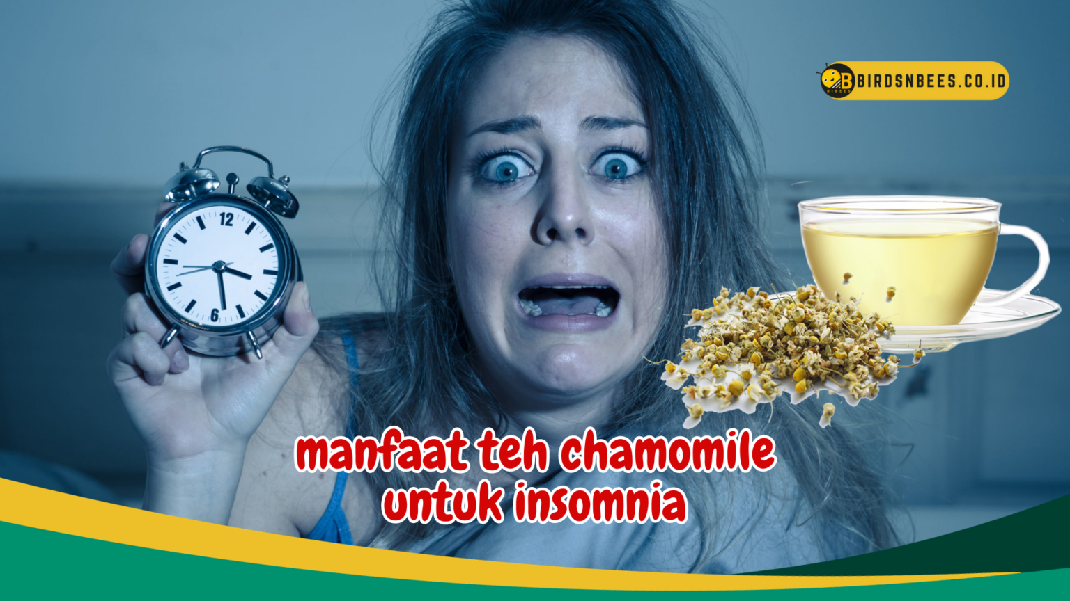 Mengurangi Kecemasan Dan Stres, Temukan Manfaat Teh Chamomile untuk Mengatasi Insomnia Sebagai ...